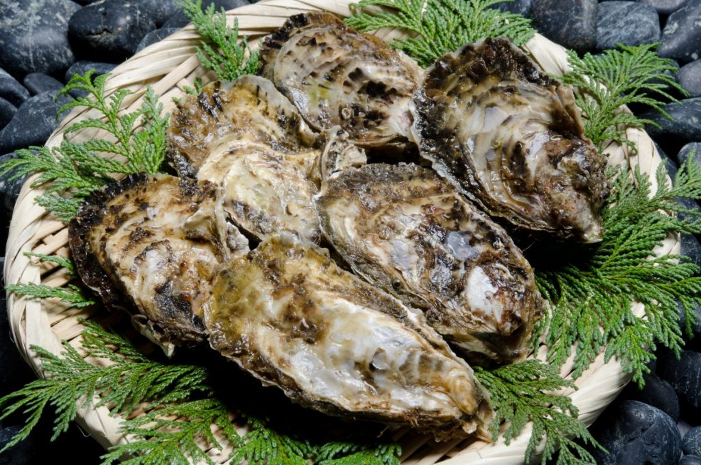 Oyster・Rock-oyster | Oita’s agricultural, forestry and fishery products ...